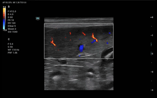 Mindray Animal Medical