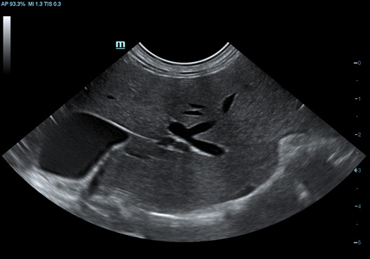 Mindray Animal Medical