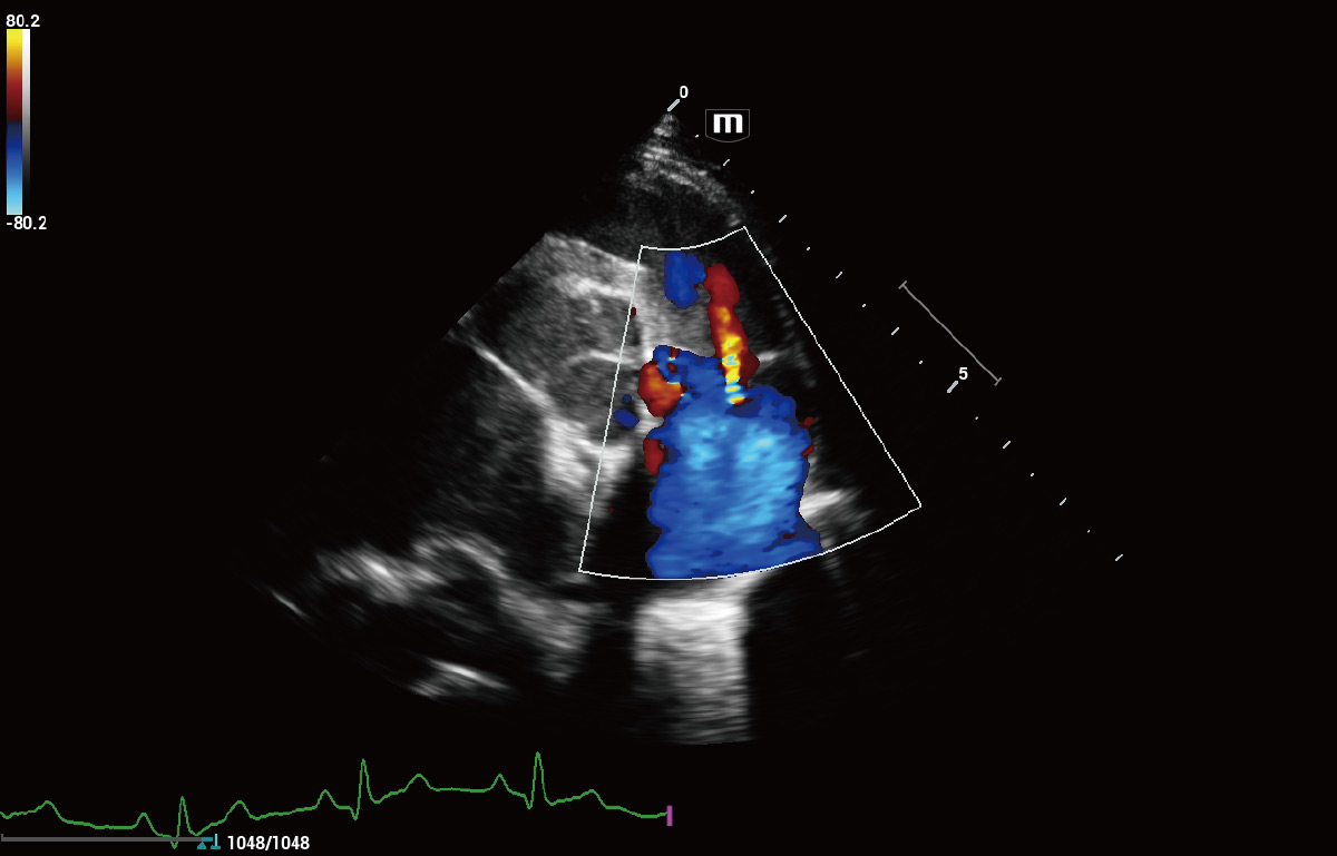 Mindray Animal Medical