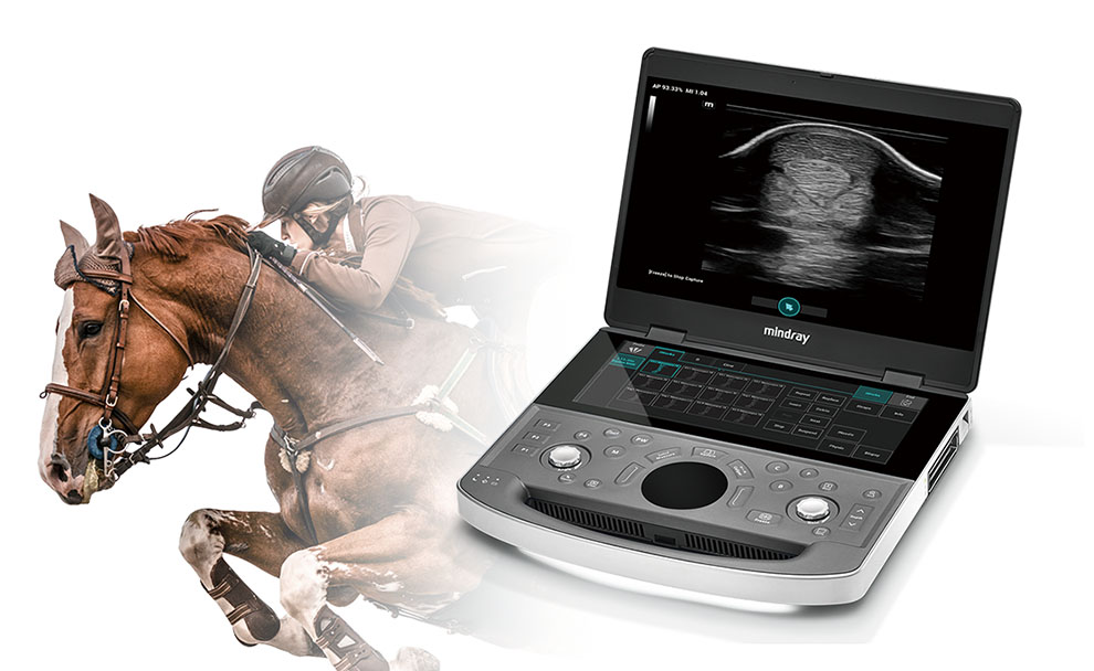 Mindray Animal Medical