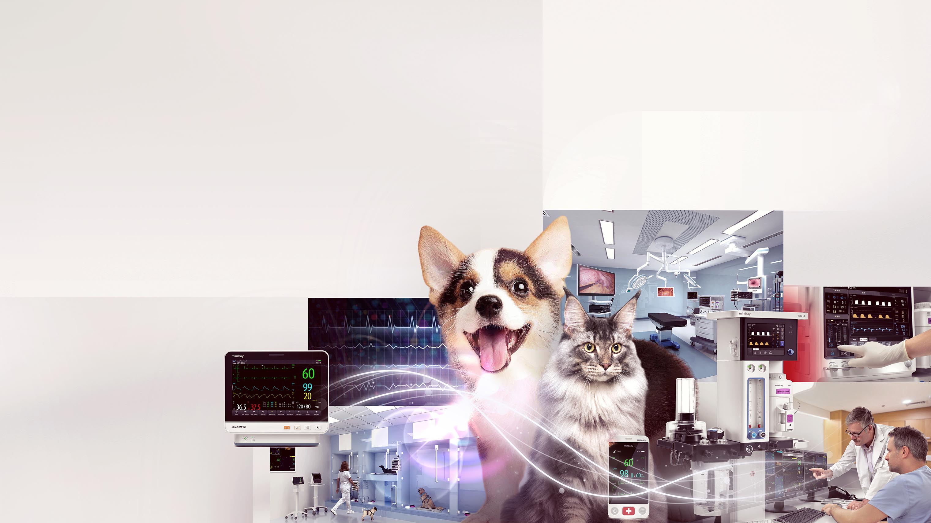 Mindray Animal Medical